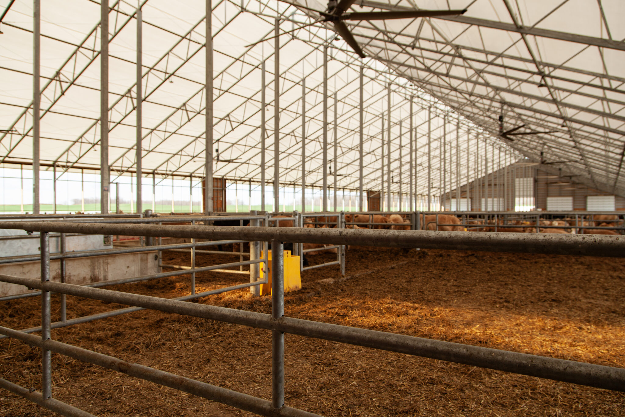Barn Layout Solutions - Farmstead Ag