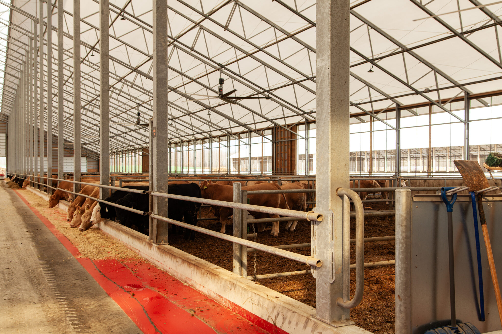 Barn Layout Solutions - Farmstead Ag